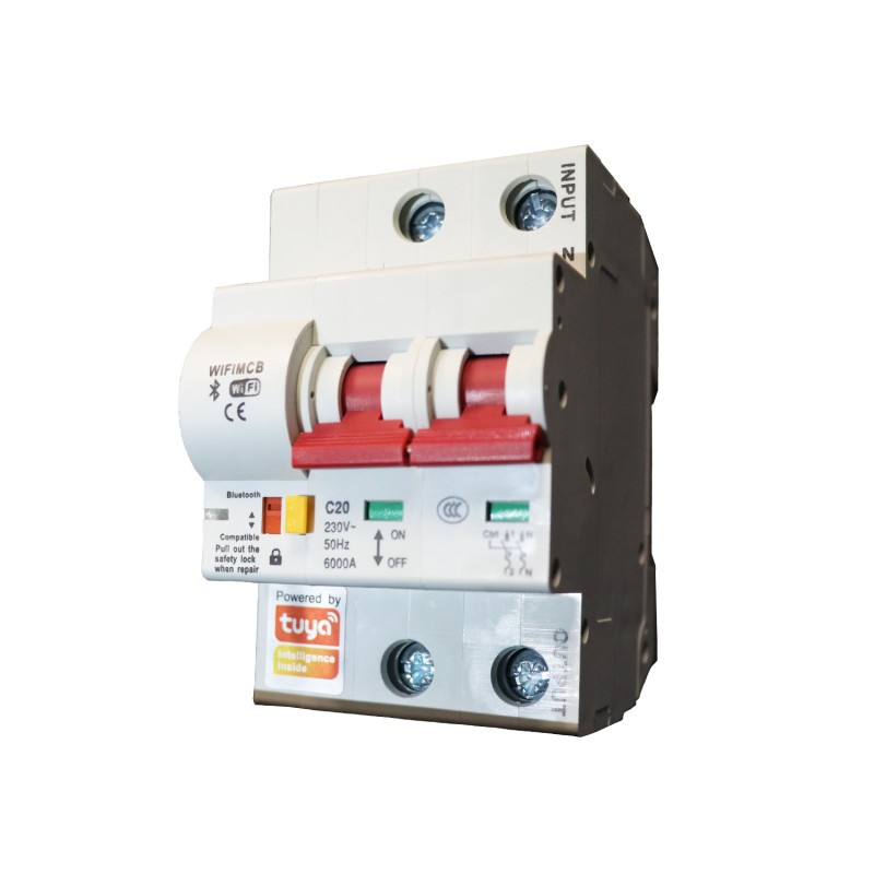 Tuya 2P 63A Smart Wifi Circuit Breaker - GeeWiz