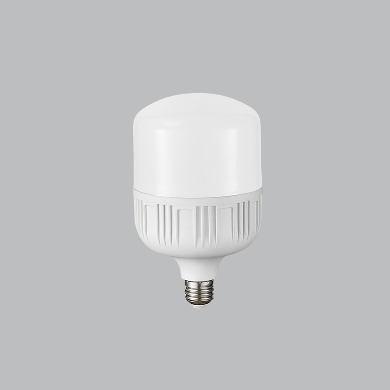 Bright Star Lighting - 5 Watt LED Bulb in Cool White - T50 - GeeWiz
