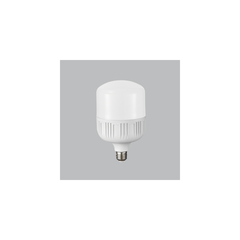 Bright Star Lighting - 9 Watt LED Bulb in Cool White - T60 - GeeWiz