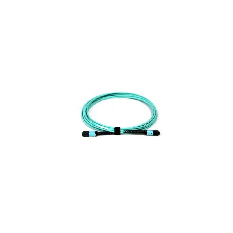Acconet Patch Lead 12Core MPO Female to MPO Female - 5M - GeeWiz
