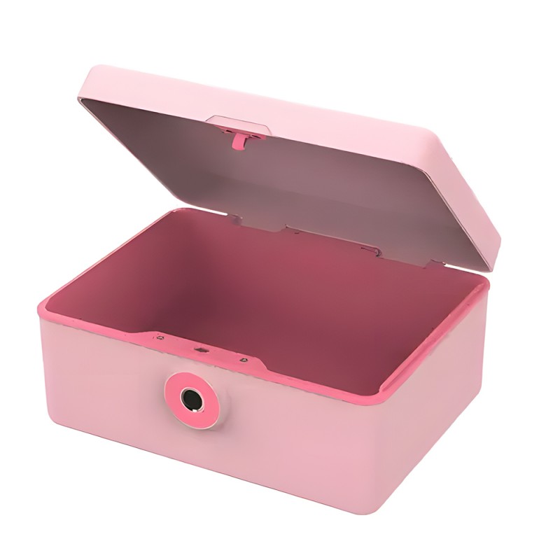 Biometric Fingerprint Safe Box - provides secure storage for your ...
