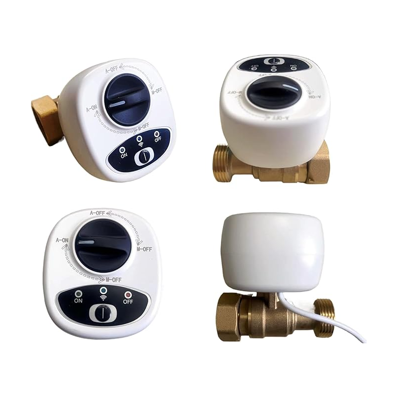 eWelink Smart WiFi Water Valve Shutoff For 1-Inch Pipes - DN25 - GeeWiz