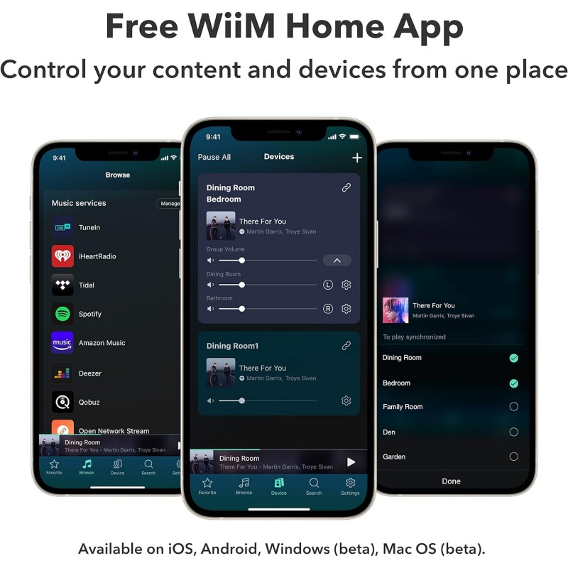 WiiM Mini AirPlay2 Wireless Audio Streamer | Multiroom Stereo ...
