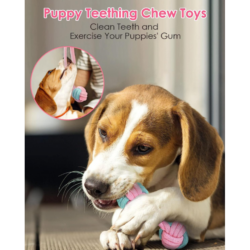 Puppy Teething Chew Toys & Dog Rope Toys for Aggressive Chewers | Safe ...