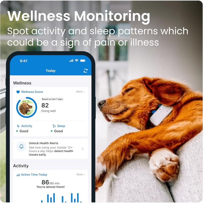 Tractive GPS Tracker for Dogs - Waterproof- Unlimited Range- Smart Pet ...