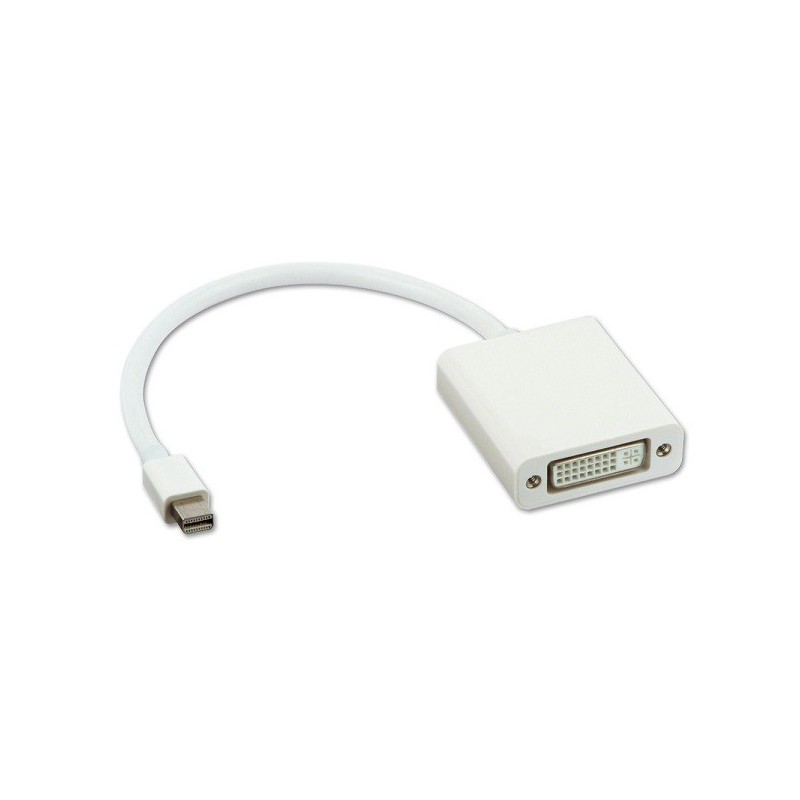 Mini DisplayPort to DVI Video Adapter Converter - GeeWiz