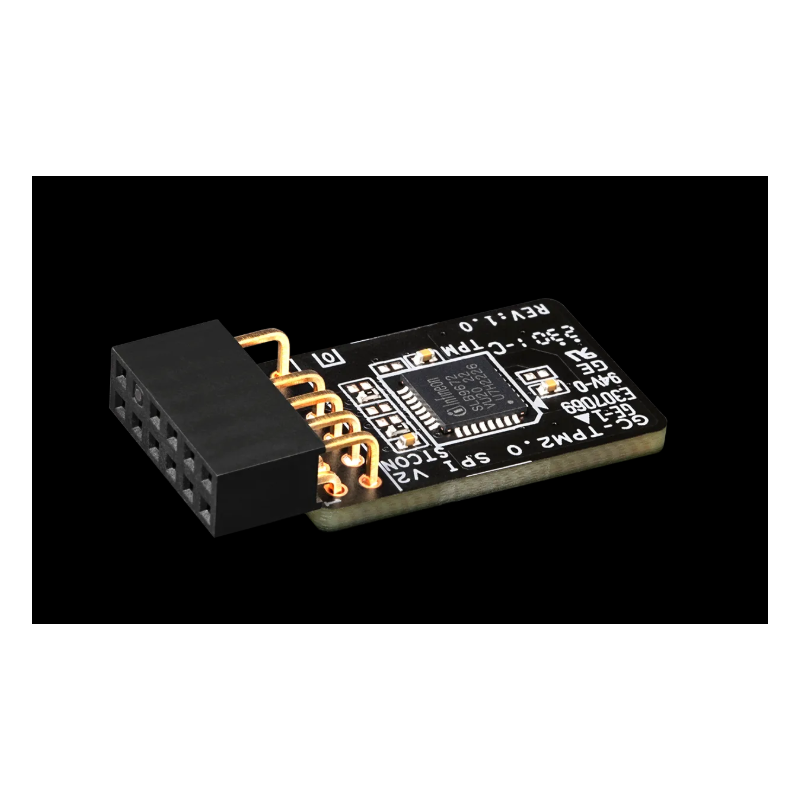 Gigabyte TPM V2 Module SPI Interface - GeeWiz