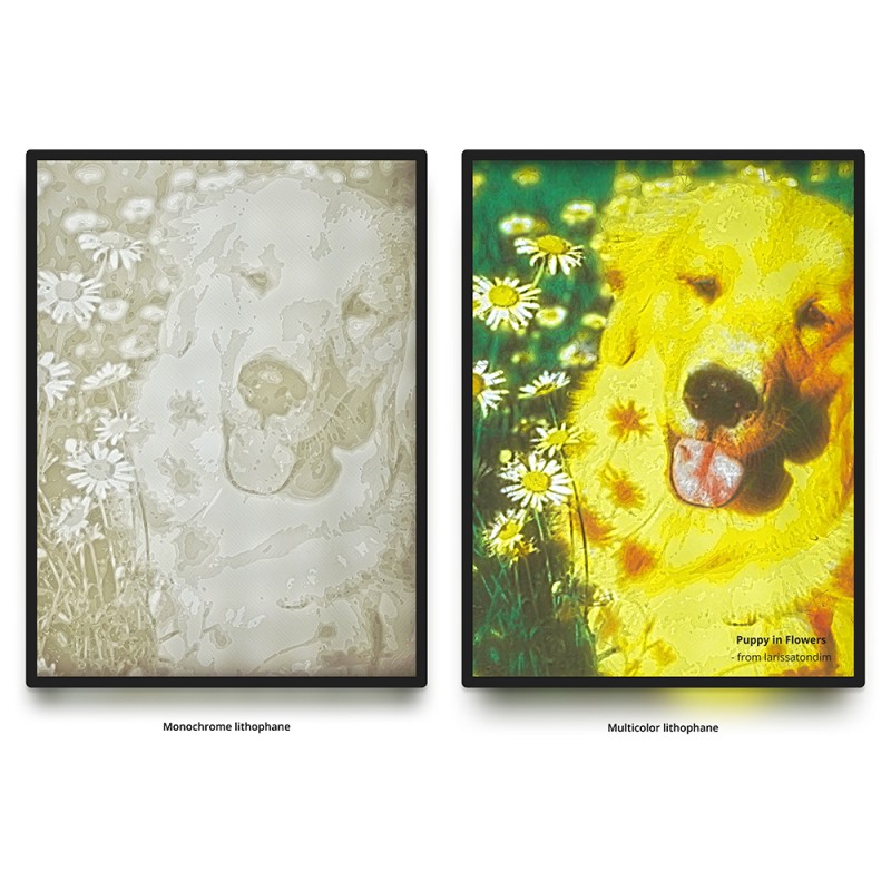 Bambu Lab PLA CMYK Lithophane Bundle - Let the Light Shine Through - GeeWiz