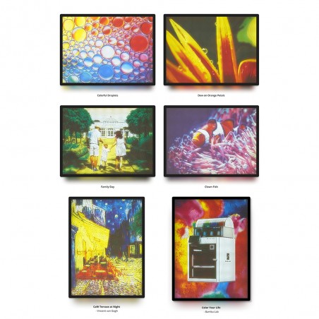 Bambu Lab PLA CMYK Lithophane Bundle - Let the Light Shine Through - GeeWiz