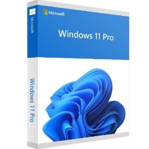 Windows 11 Pro Install Upgrade - GeeWiz
