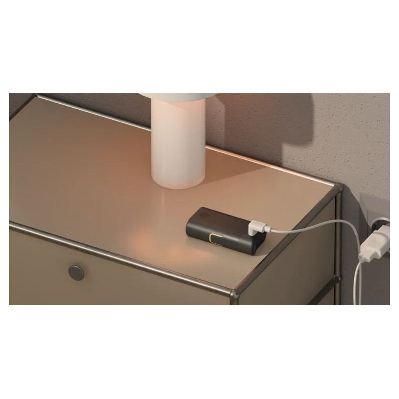 Rechargeable Battery for Linus L2 Smart Lock - GeeWiz