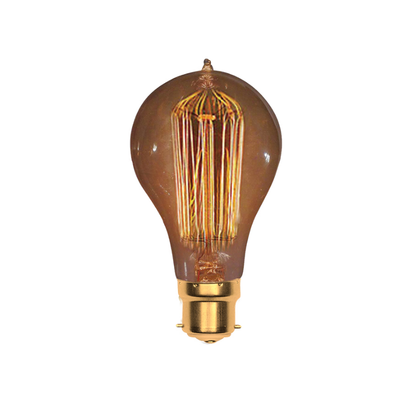 110-240V 25W B22 Globe Type Carbon Filament Lamp - GeeWiz