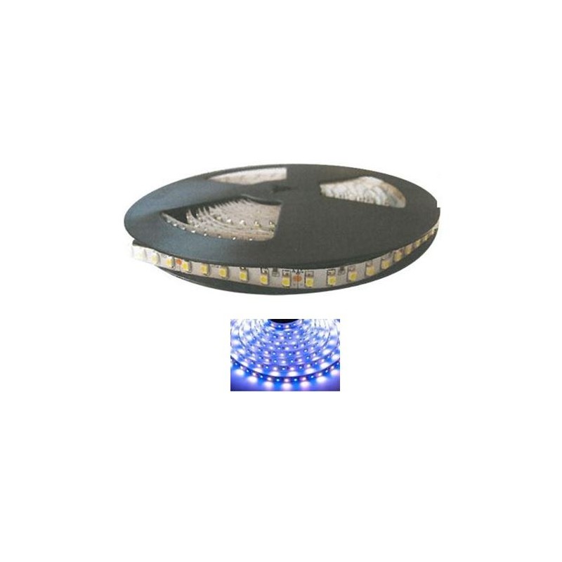 12VDC 30/M LED Blue Flex Strip Light W/PROOF IP54 /5M - GeeWiz